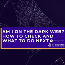 Am I on the Dark Web? How to Check and What to Do Next (New Year 2025 Edition) - D1 Defend